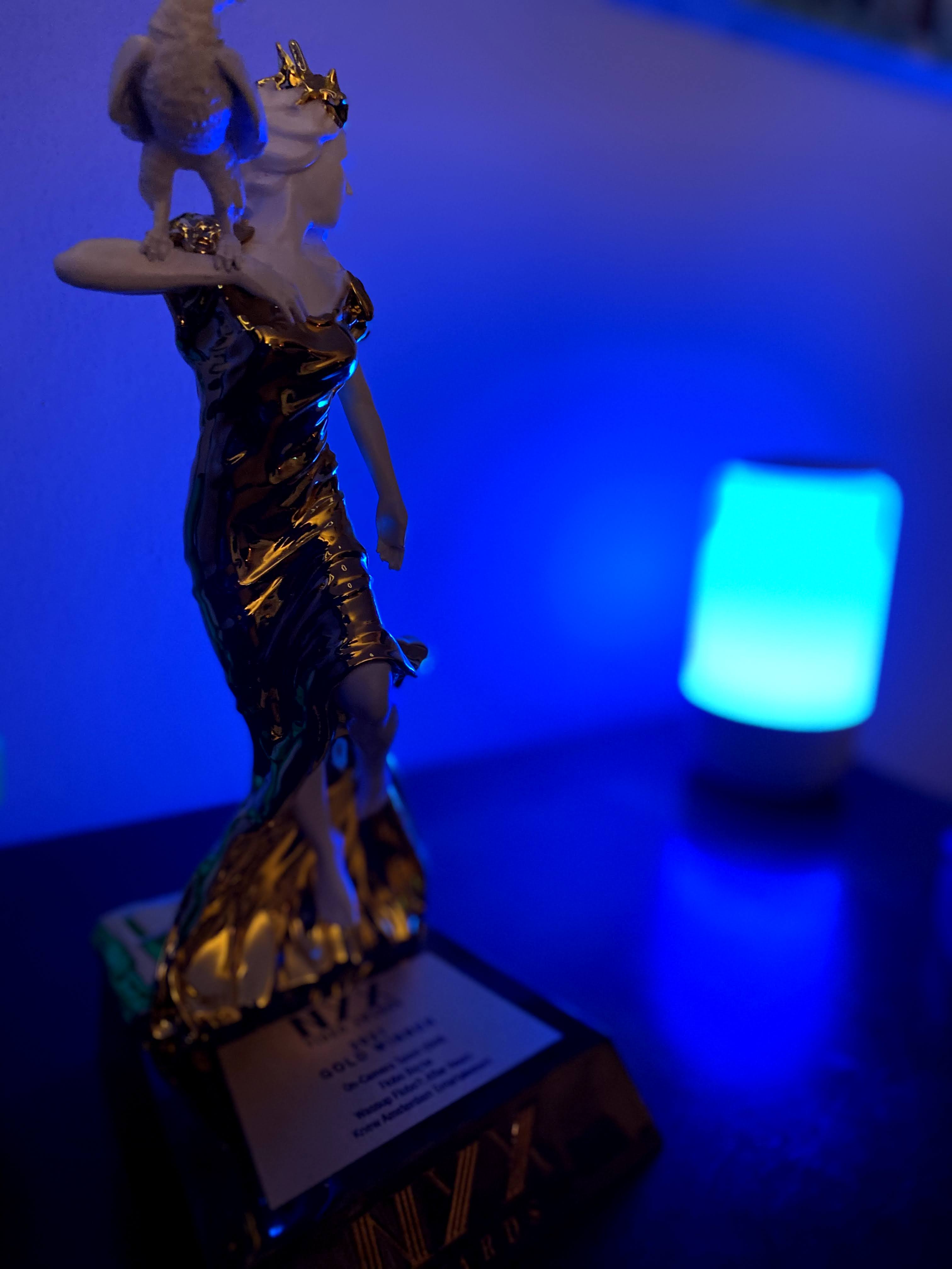 First Look of My 2021 NYX Award – Flobo Boyce